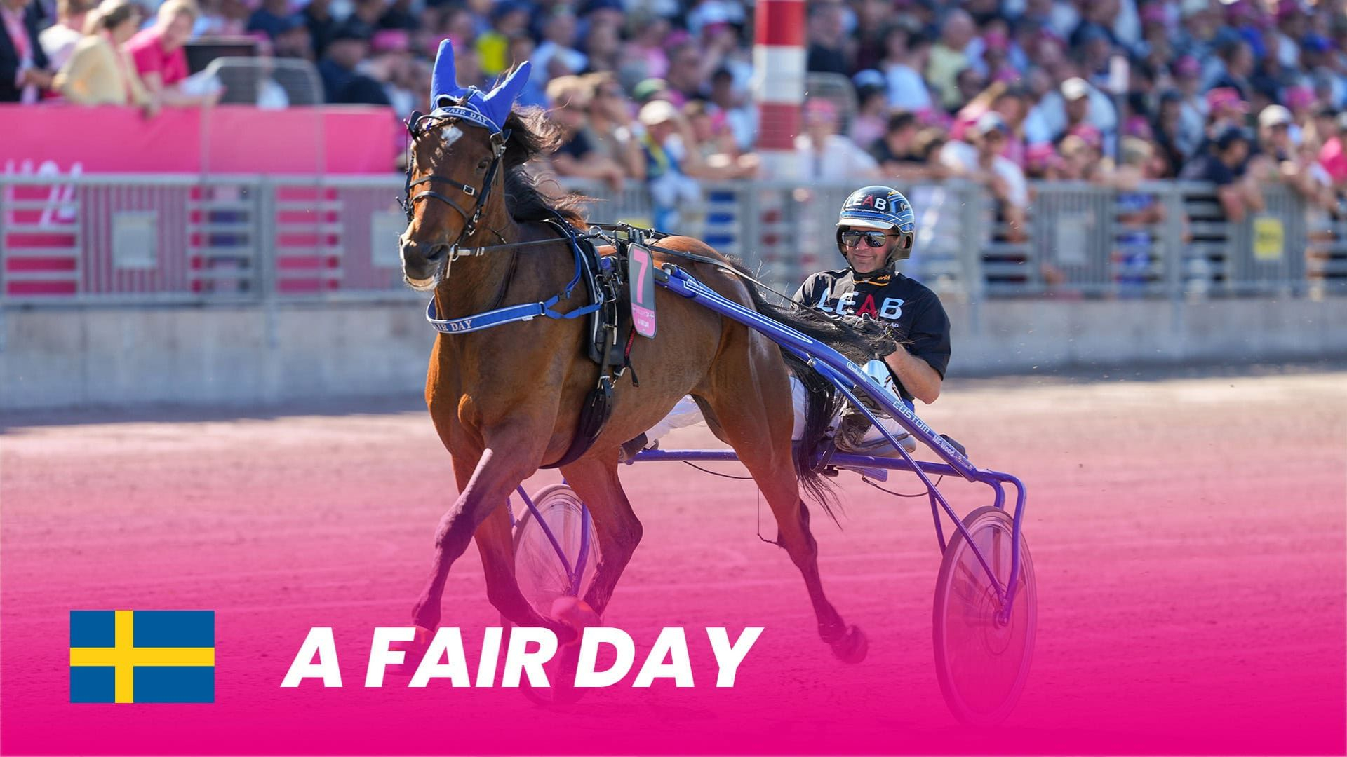 A Fair Day est le 7ème invité de l'Elitloppet | LETROT