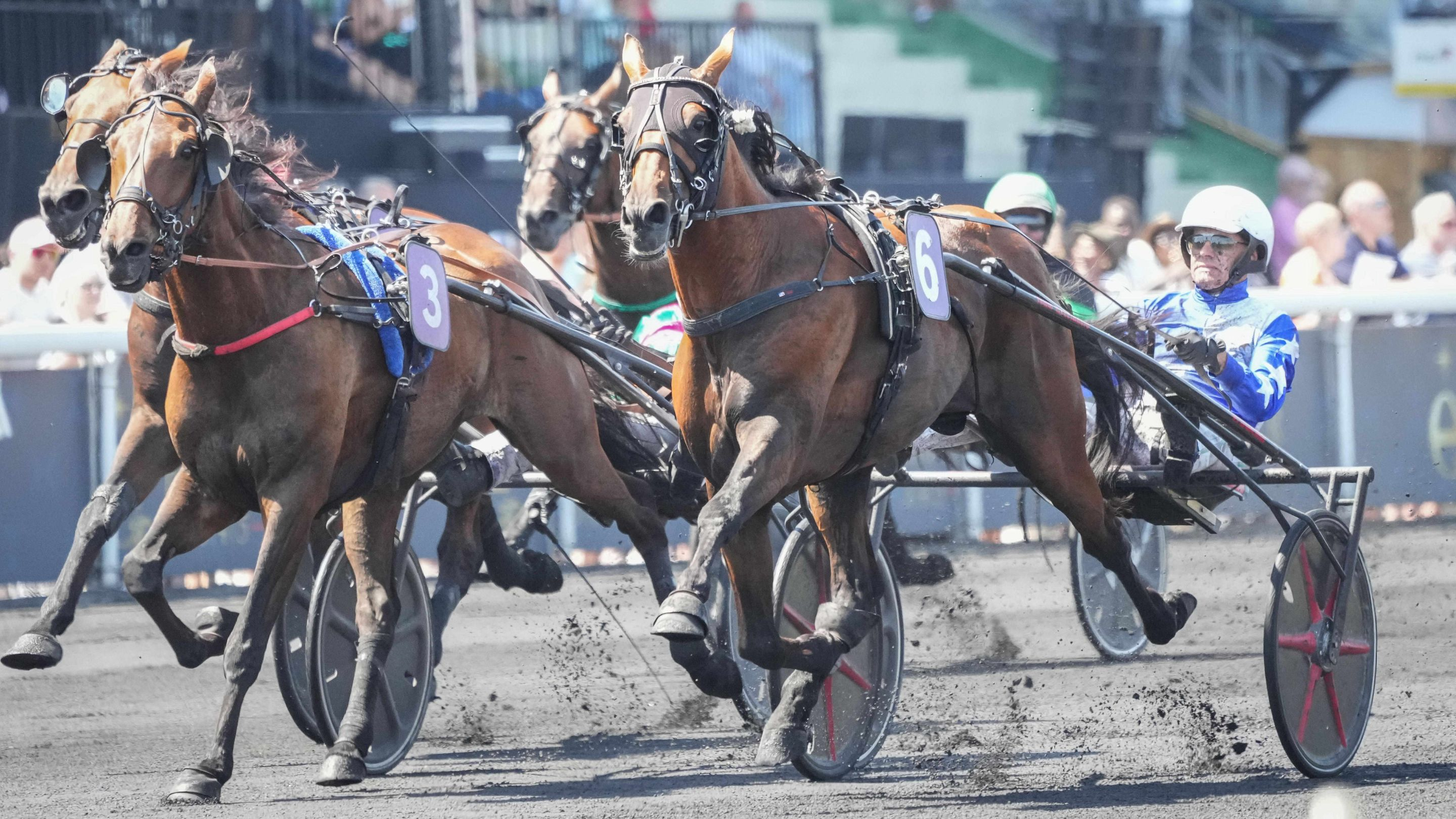 Free Time Jepson, le nouveau leader de l'UET Elite Circuit | LETROT