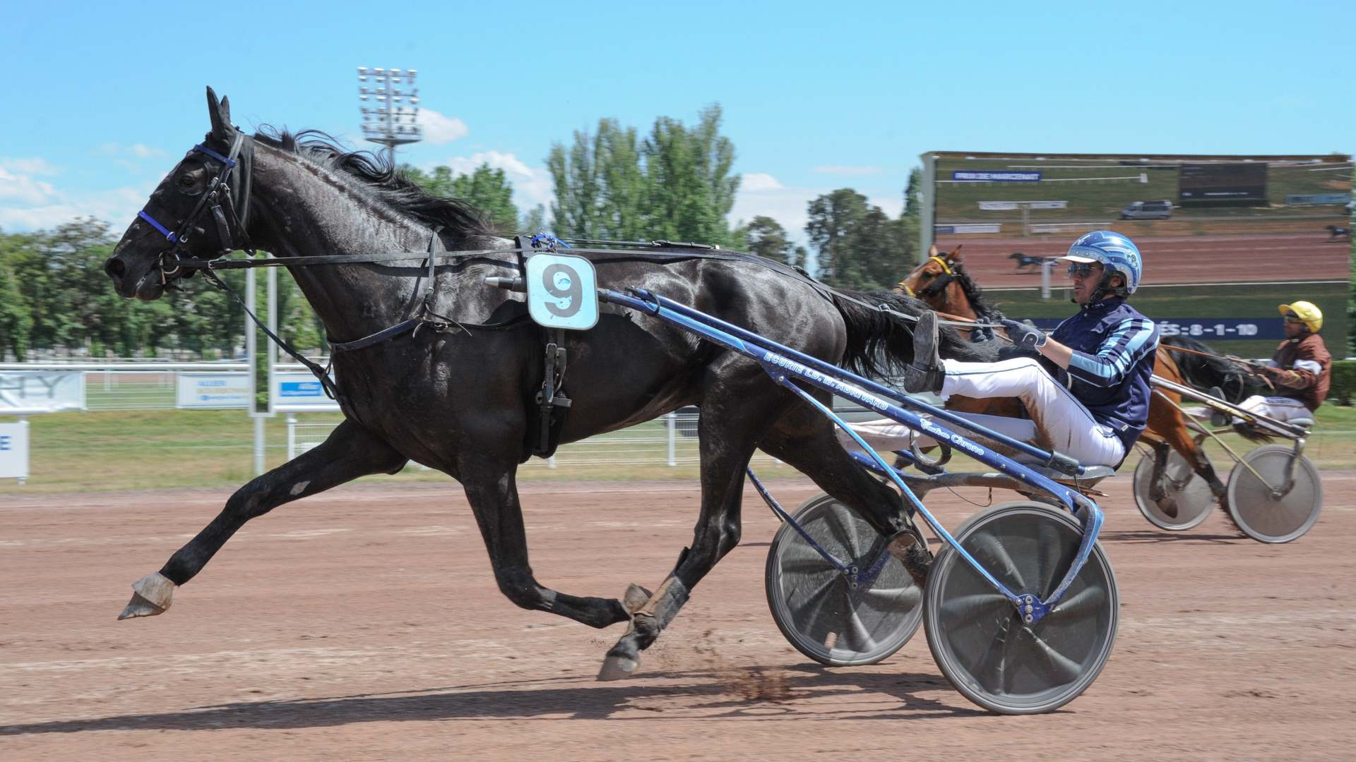 Site Officiel des Courses au Trot | LETROT