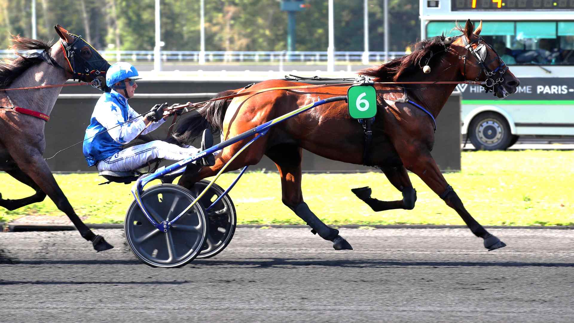 Site Officiel des Courses au Trot | LETROT