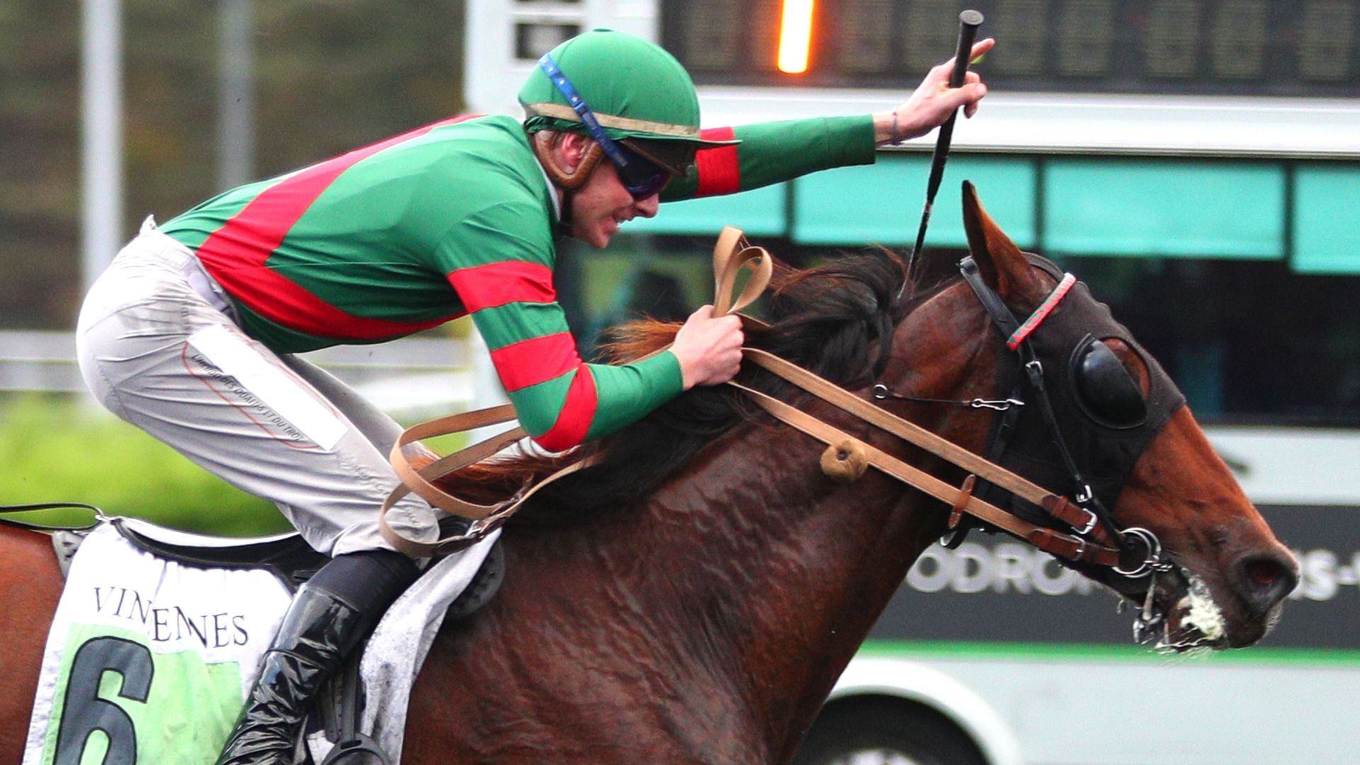 Toute l'actualité des courses hippiques au trot | LETROT