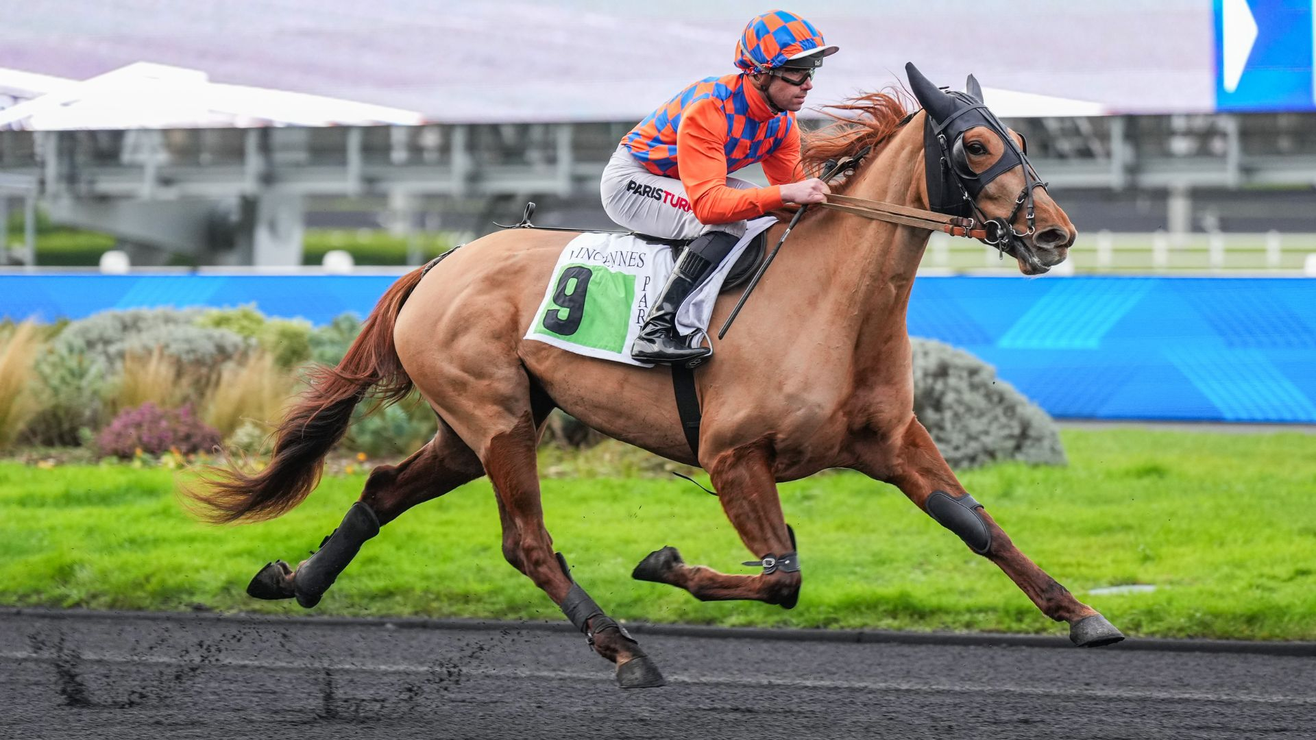 LES COURSES DE JEUDI À PARIS-VINCENNES | LETROT